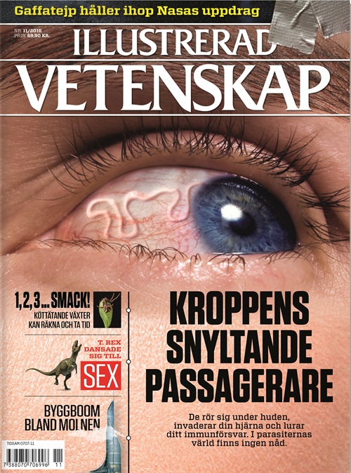 Illustrerad Vetenskap Prenumeration – Tidningskungen.se Illustrerad Vetenskap Prenumeration – Tidningskungen.se
