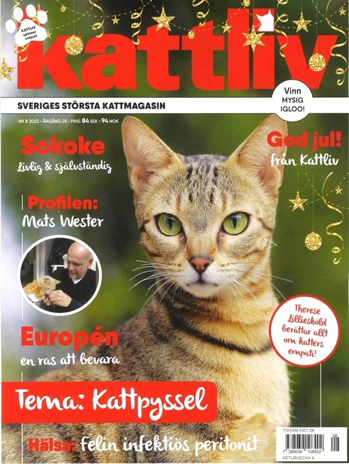 Kattliv prenumeration – Prenumerera på Kattliv till kampanjpris!